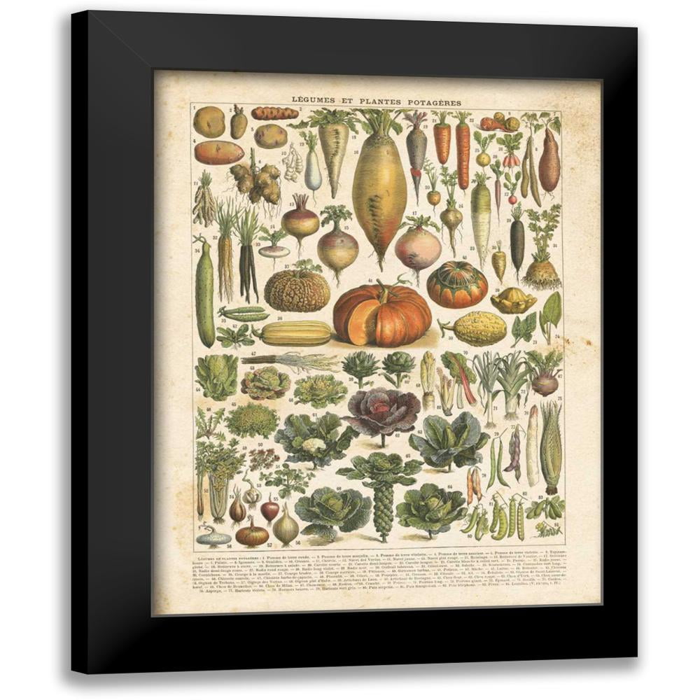 Babbitt, Gwendolyn 19x24 Black Modern Framed Museum Art Print Titled ...