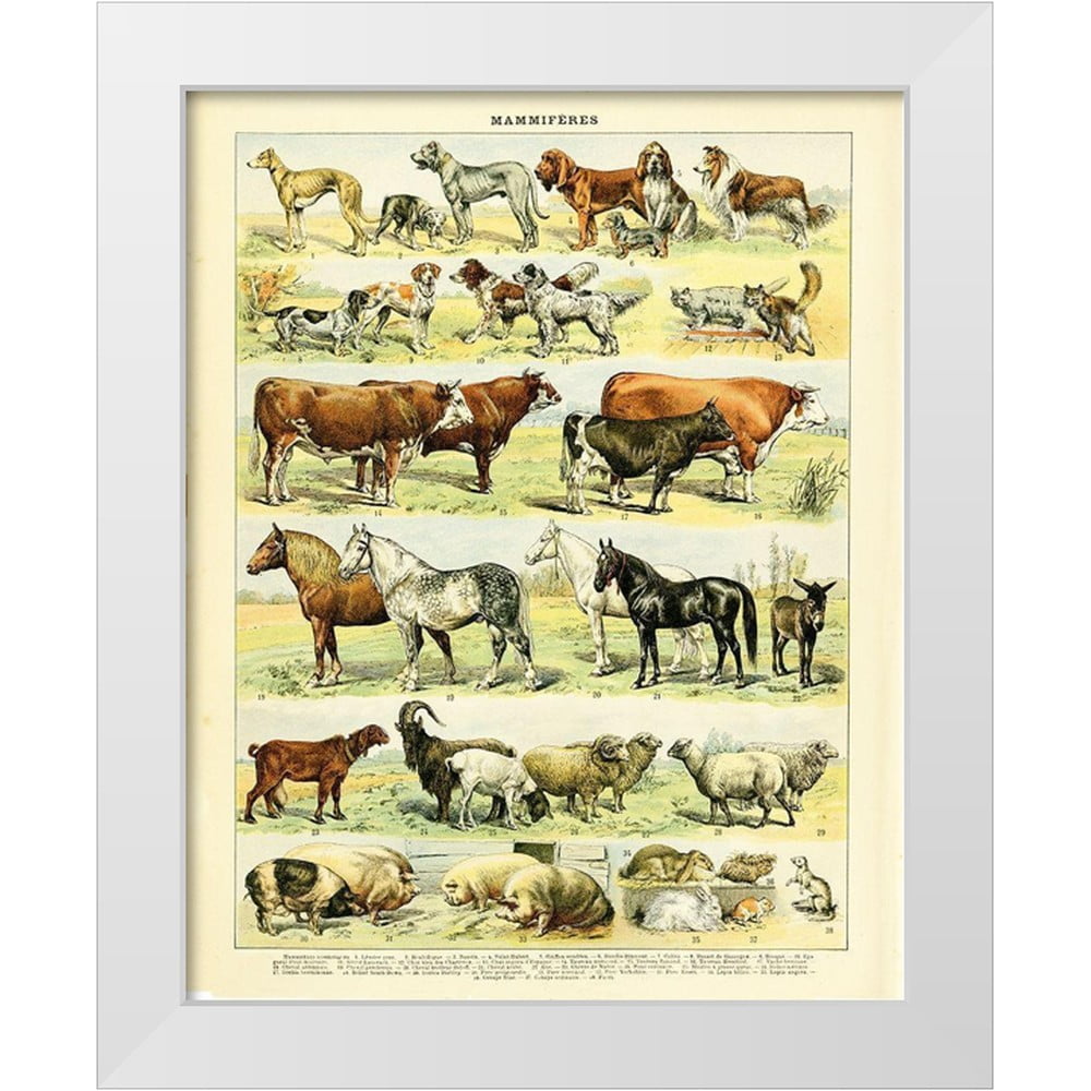 Babbitt, Gwendolyn 20x24 White Modern Wood Framed Museum Art Print ...