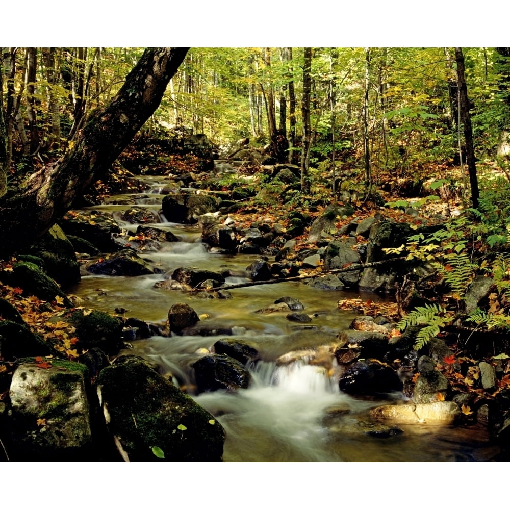 Babbling Brook Poster Print - Walmart.com