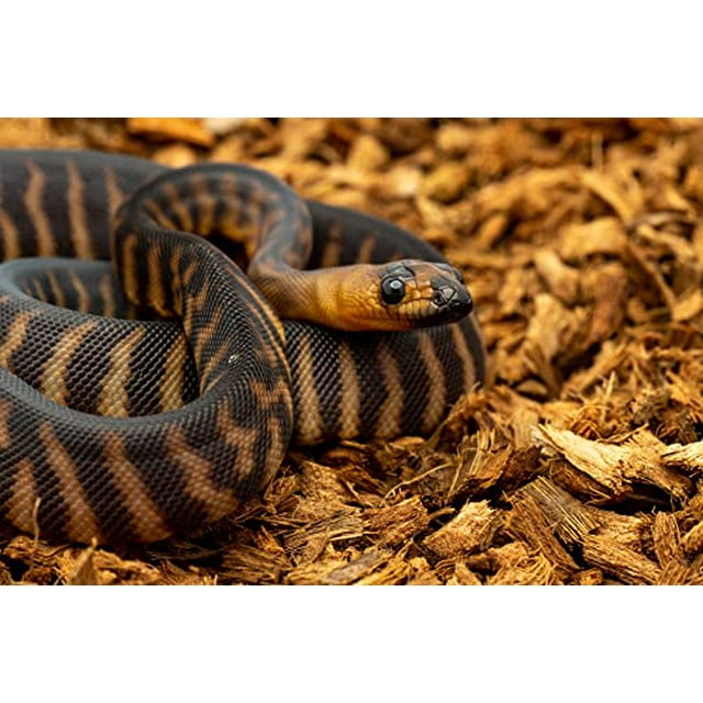 BabiChip Coconut Chip Substrate for Reptiles 4 Pack of 36 Quart Loose ...