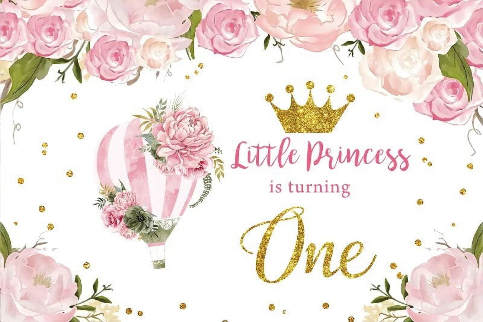 Baby 1st Birthday Party Portrait Background Pink Flower Wall Hot Air ...