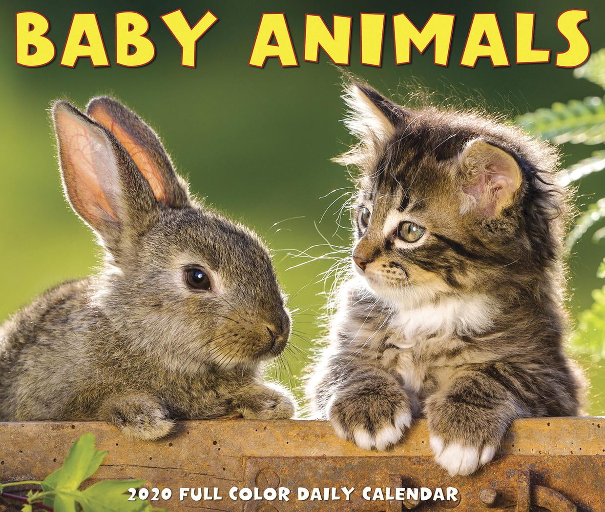 Baby Animals 2020 Box Calendar (Other) - Walmart.com