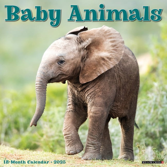 Baby Animals 2026 12 X 12 Wall Calendar, (Hardcover) - Walmart.com