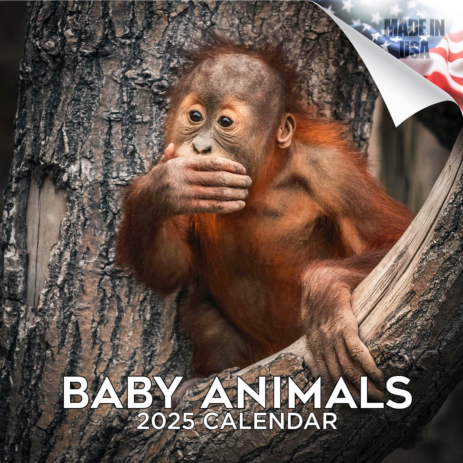 2024 2025 Baby Animals Calendar - Wildlife Monthly Wall Calendar - 12 x ...
