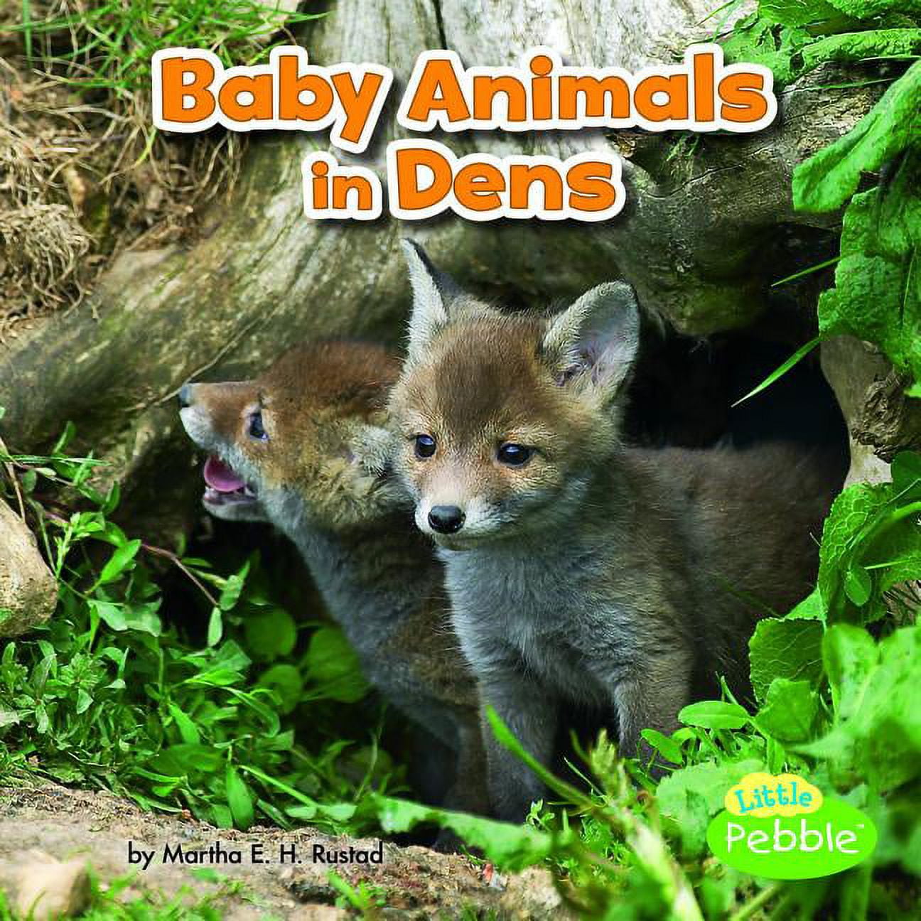 Baby Animals and Their Homes: Baby Animals in Dens (Paperback ...
