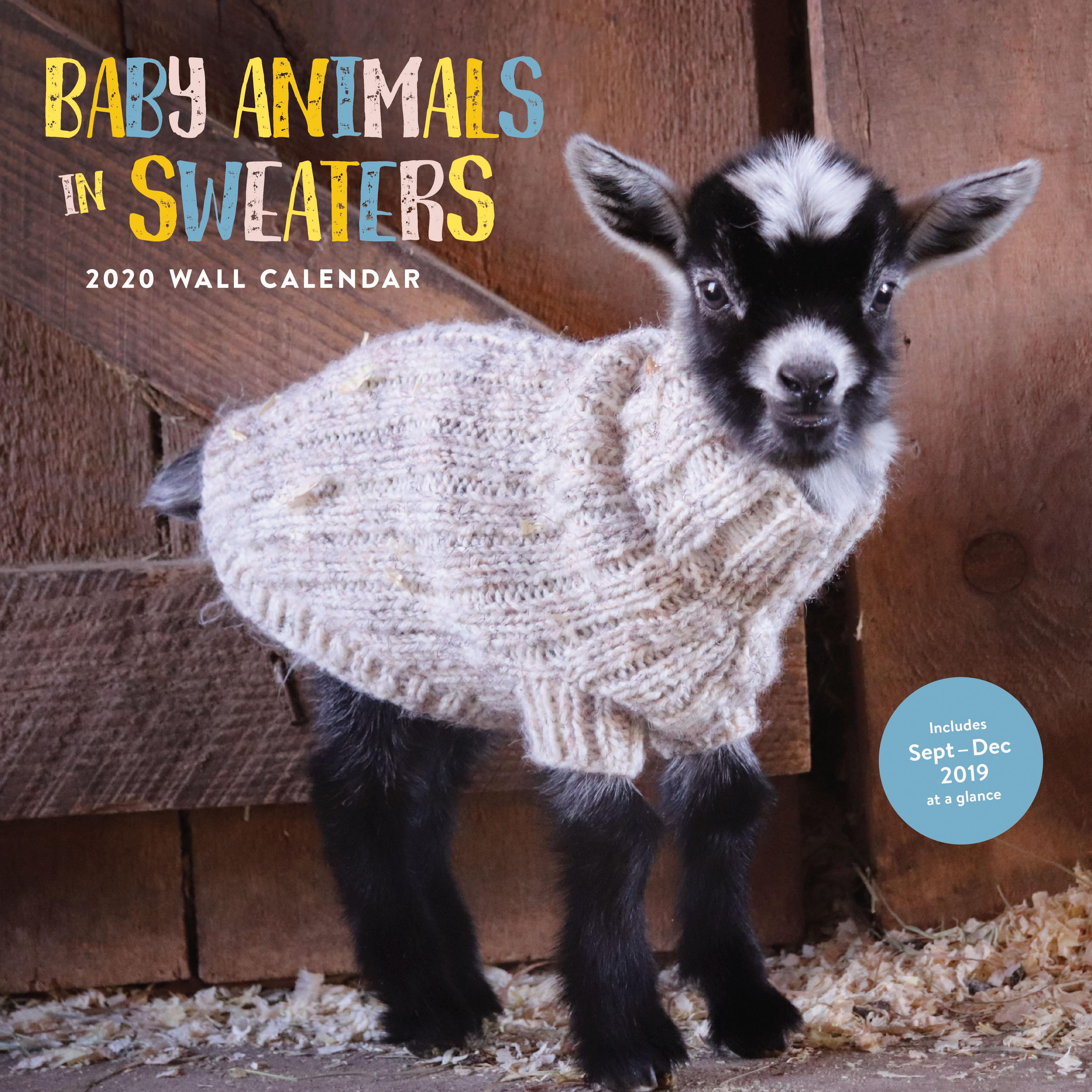 Baby Animals in Sweaters 2020 Wall Calendar : (2020 Wall Calendar, Cute ...