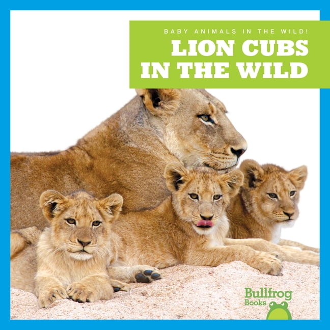 Baby Animals in the Wild! Lion Cubs in the Wild, (Hardcover) - Walmart.com