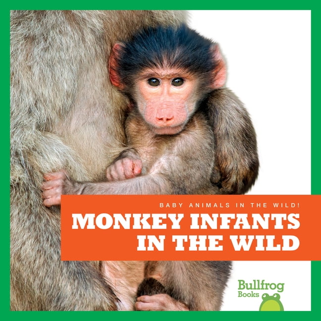 Baby Animals in the Wild! Monkey Infants in the Wild, (Hardcover ...