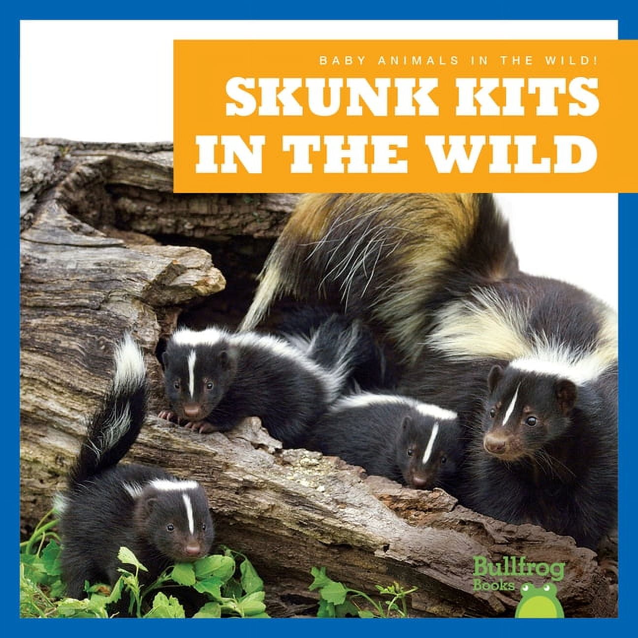 Baby Animals in the Wild! Skunk Kits in the Wild, (Hardcover) - Walmart.com