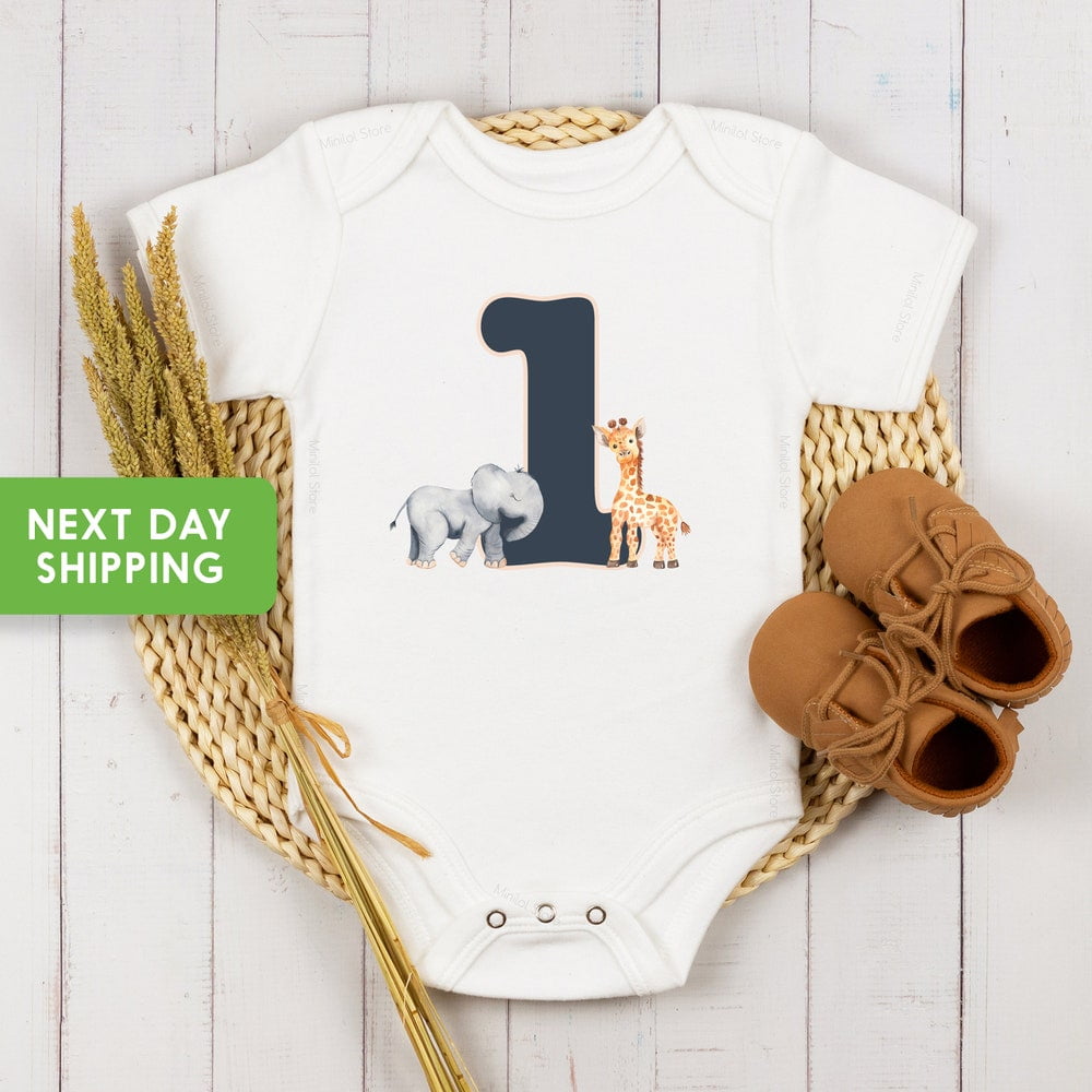 Baby Bodysuit BELLA CANVAS First Birthday Onesie, The Birthday Boy Onesie, 1St Birthday Party ...