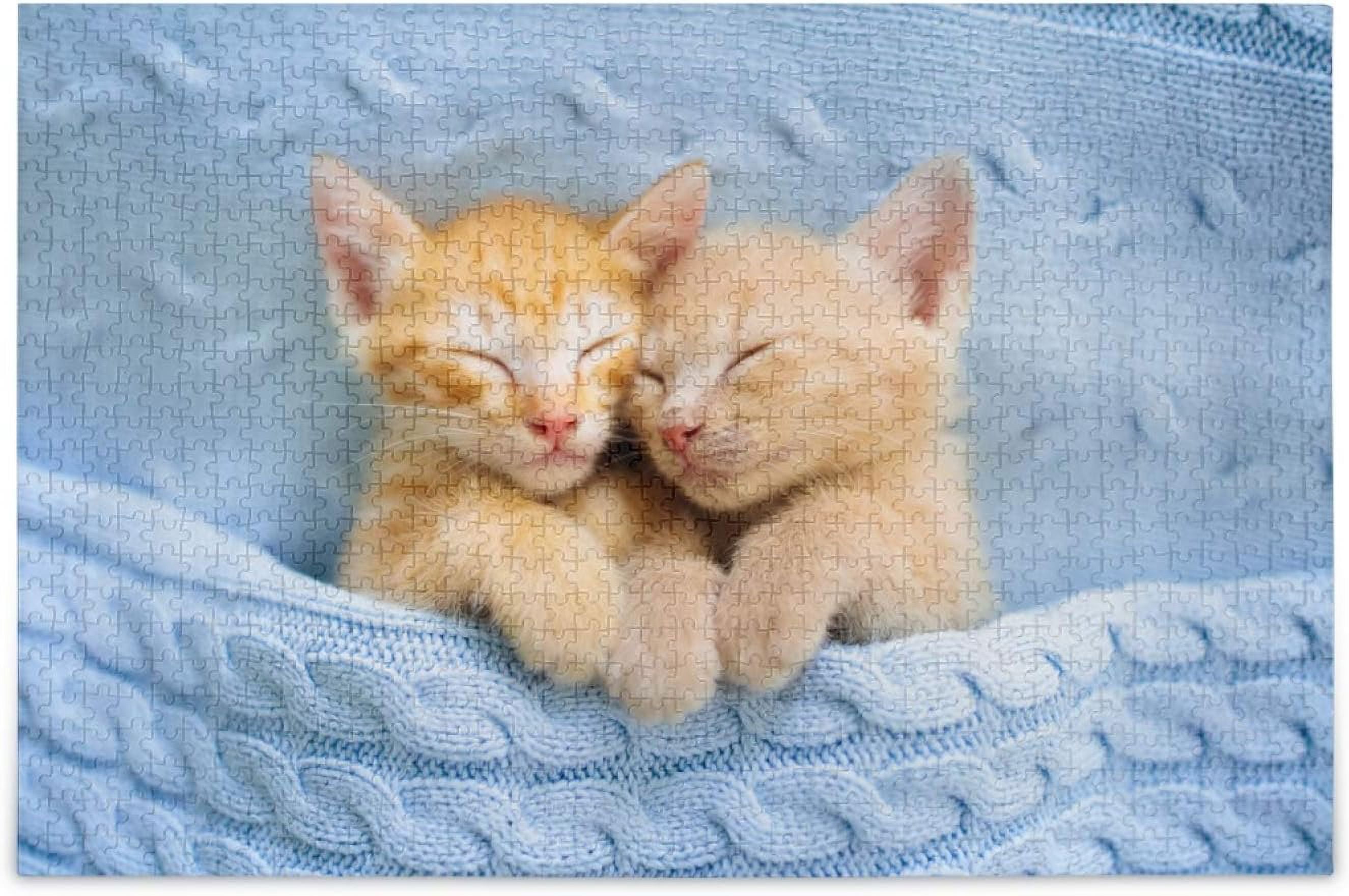 Baby Cat Kitten Sleeping Puzzle for Adults 500 Piece Puzzles Game DIY ...