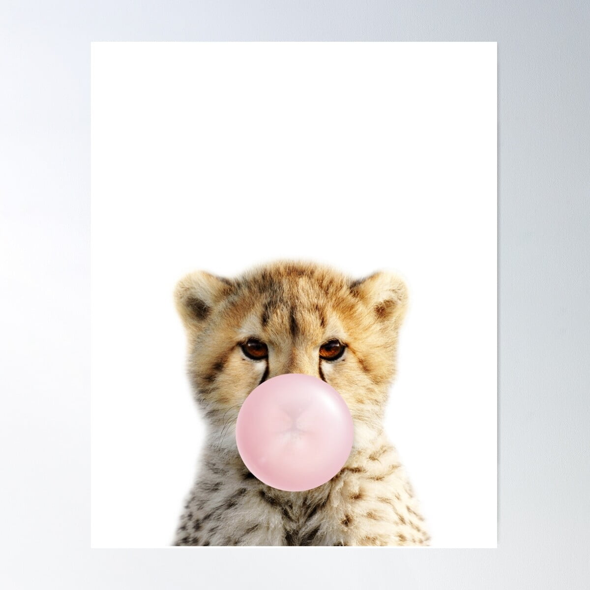 Baby Cheetah Blowing Pink Bubble Gum, Baby Girl, Kids, Nursery, Baby ...