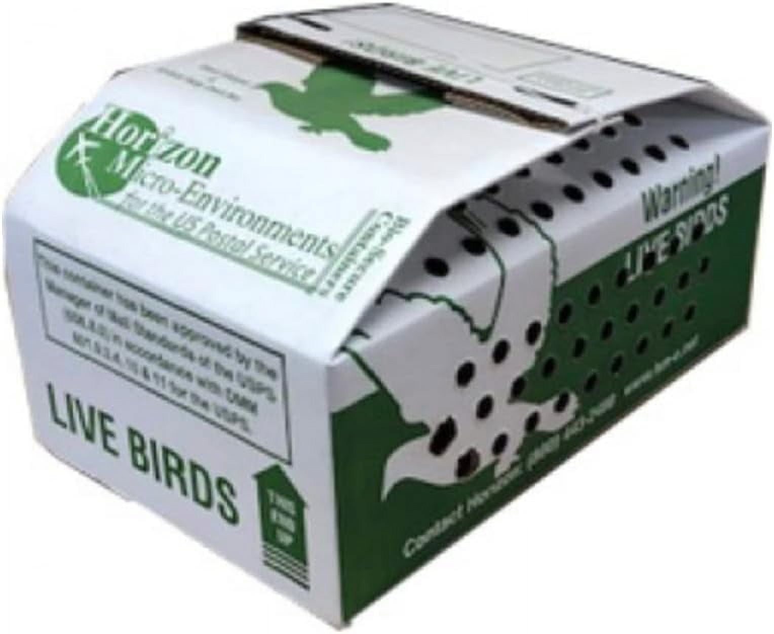 Baby Chick Live Bird Shipping Boxes for Poultry Quail Chuckars (1PK ...