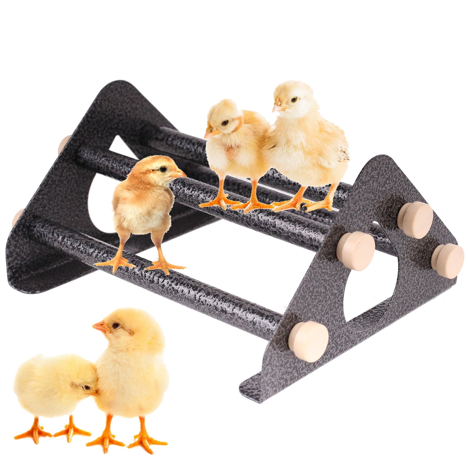 Baby Chick Perch, Durable Metal Stand with Metal Roosting Bars for coop ...