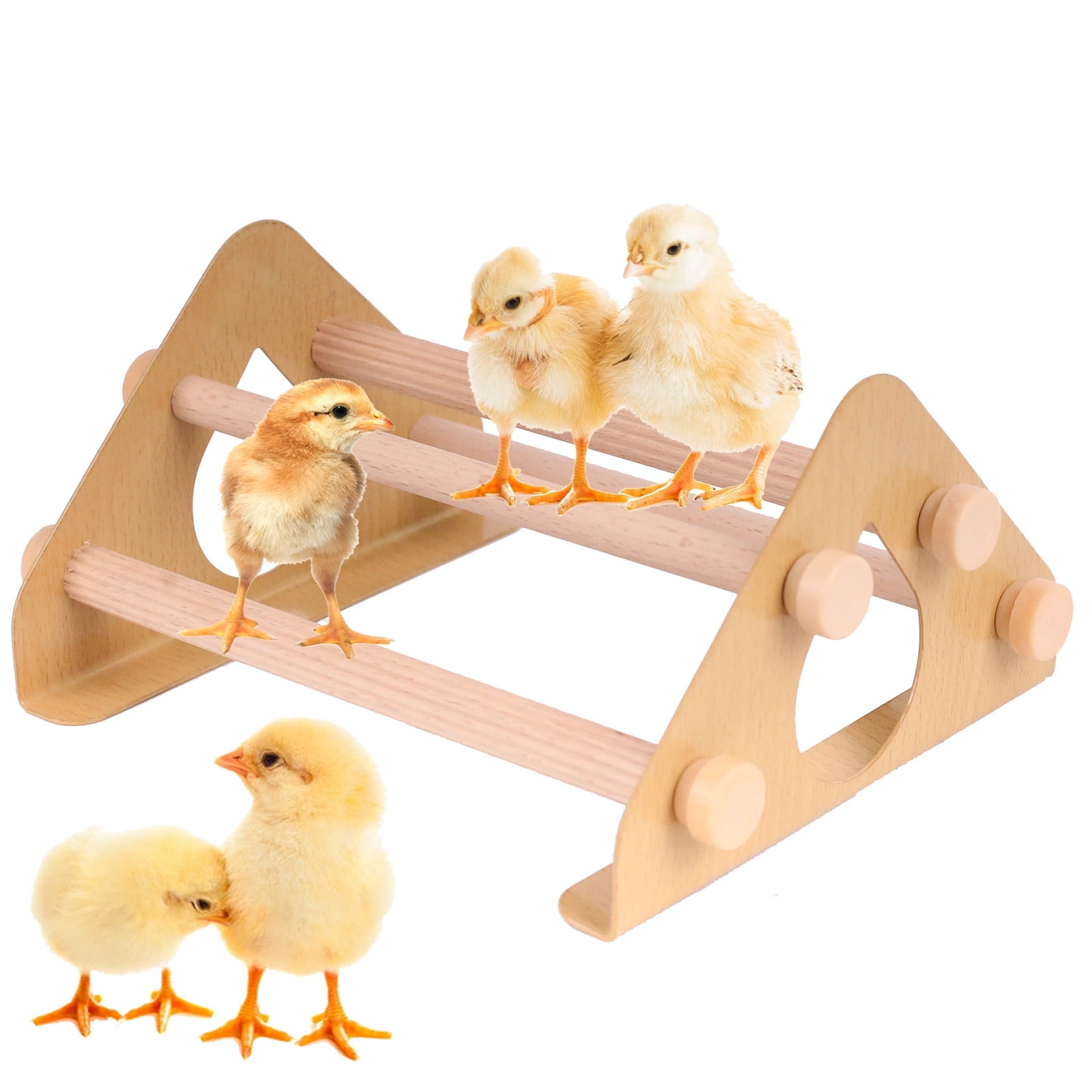 Baby Chick Perch, Durable Metal Stand with Natural Wooden Roosting Bars ...