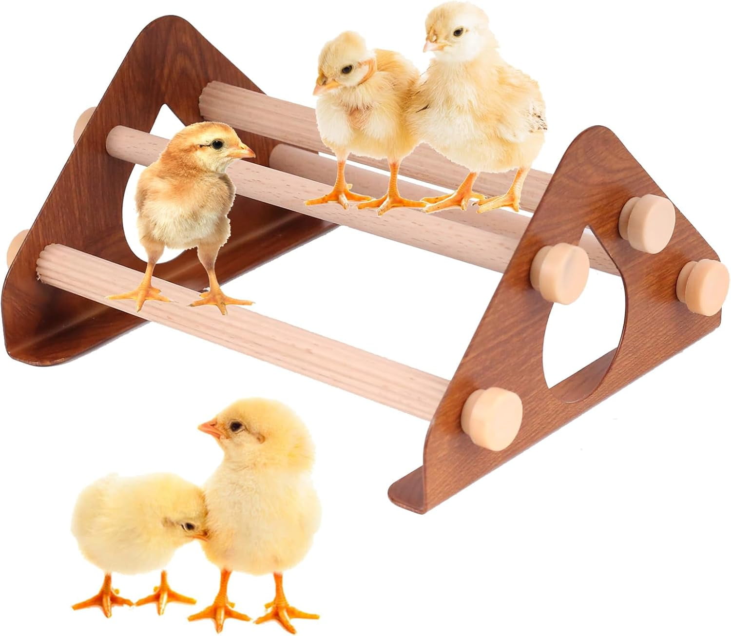Baby Chick Perch, Durable Metal Stand with Wooden Roosting Bar for coop ...