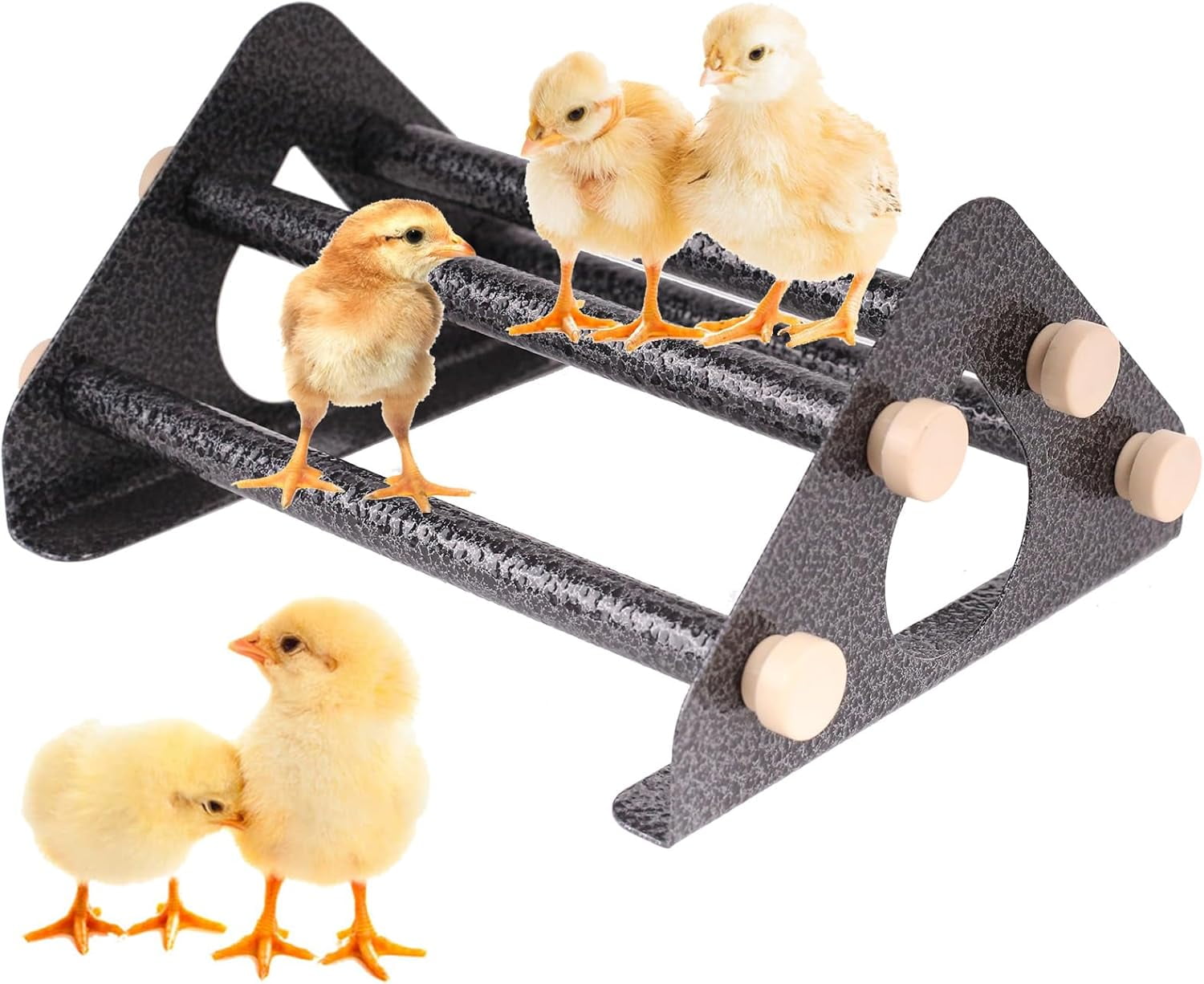 Baby Chick Perch, Durable Roosting Bar for coop and brooder, Training ...