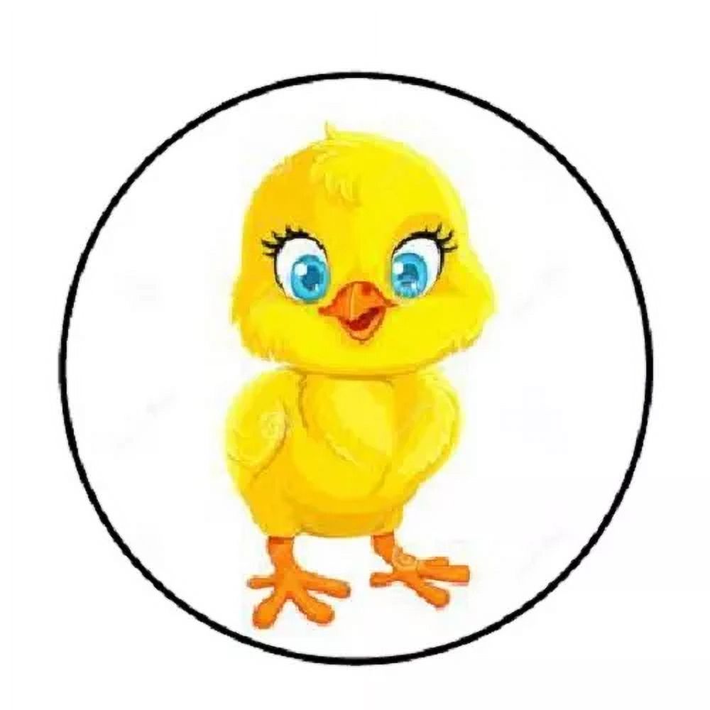Baby Chick Sticker Phone Decal Water Bottle Stickers Car Decals, Laptop ...