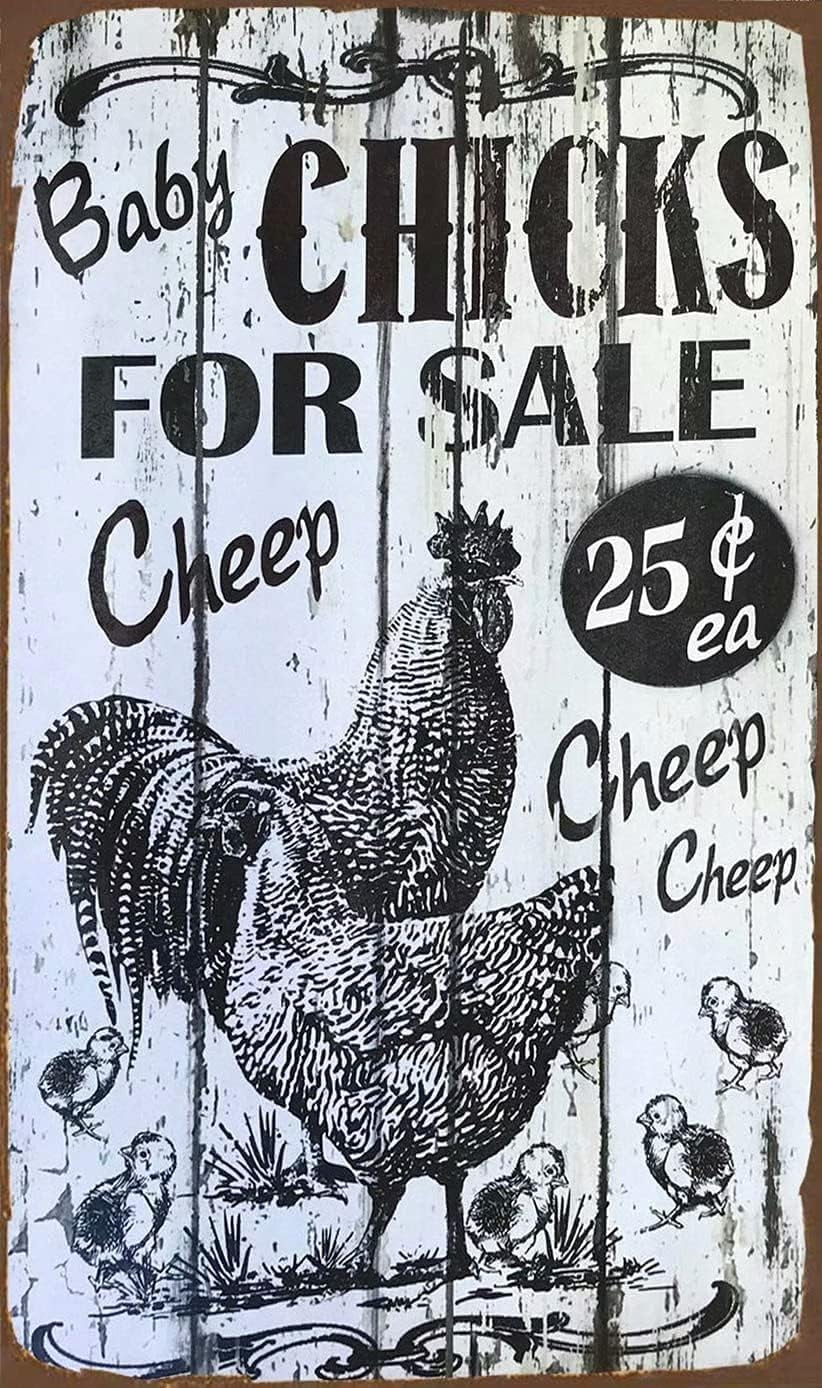 Baby Chicks Metal Tin Sign,Baby Chicks for Sale,Metal Wall Panel Retro ...