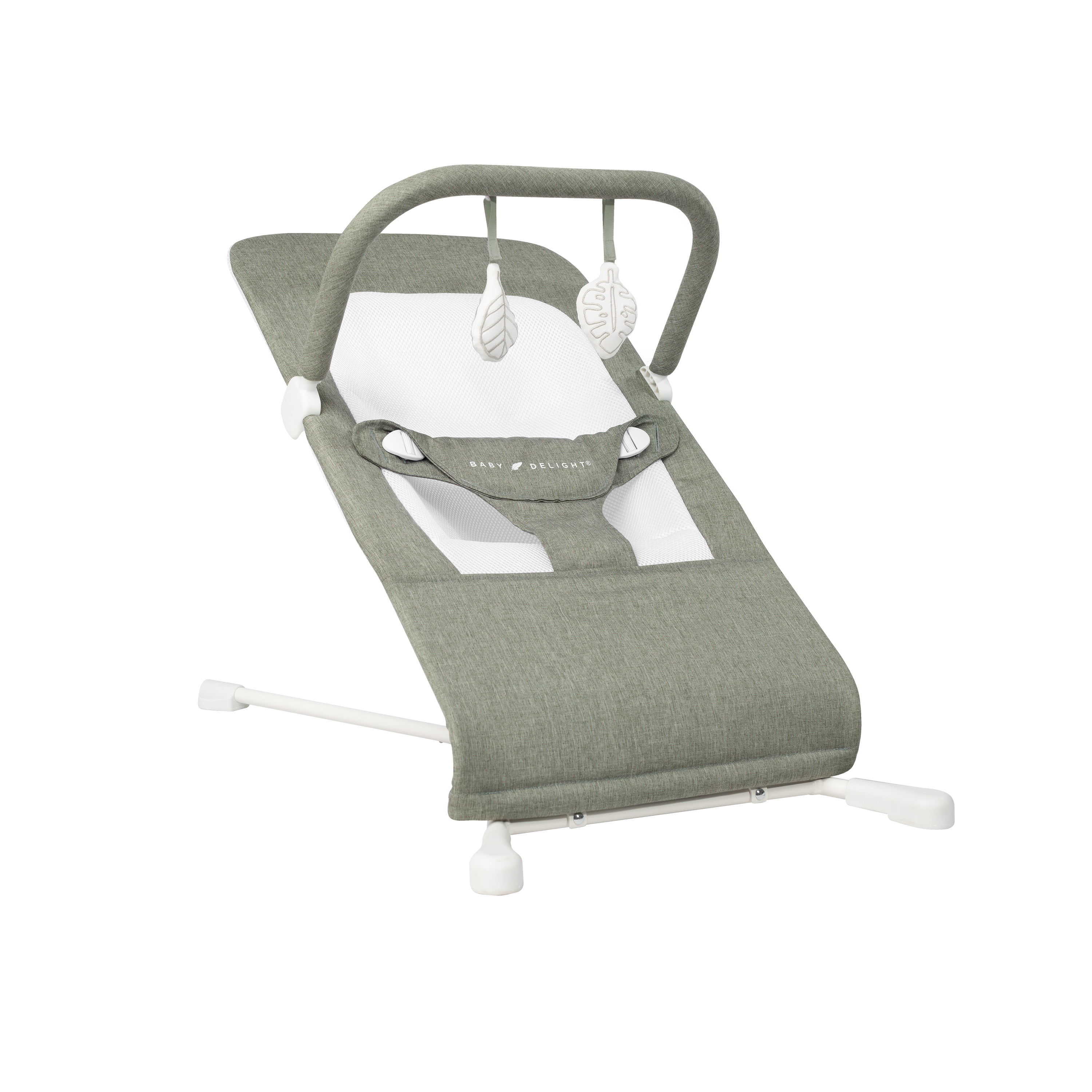 Baby Delight Highland Portable Baby Bouncer, 3 Position, Infants 0-6 ...