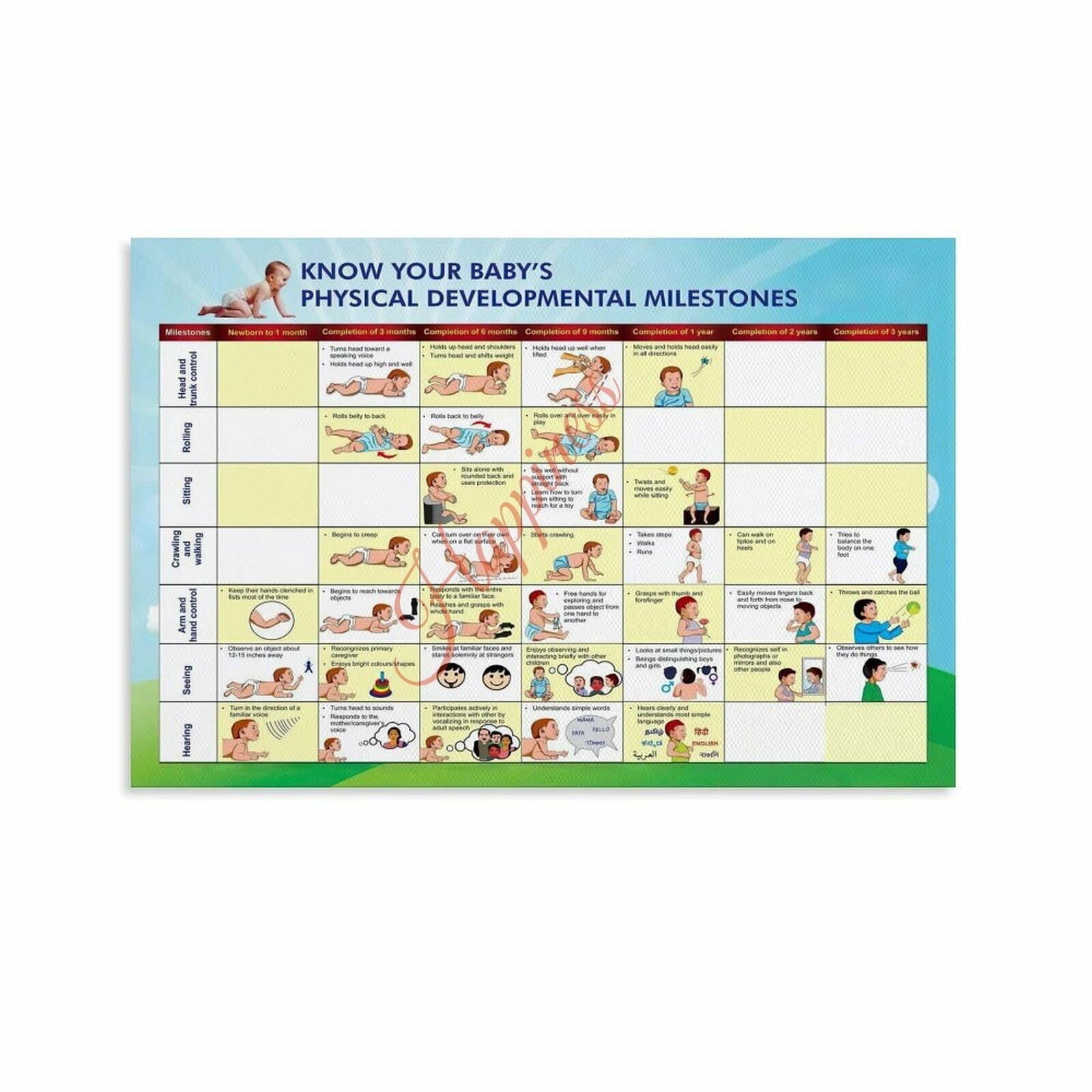 Baby Development Milestones Chart Poster New Mom Infant Growth Guide ...