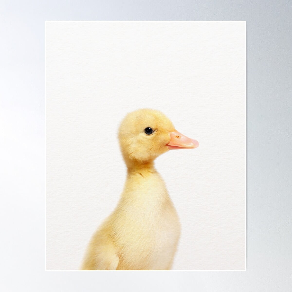 Baby Duckling 2, Baby Animals Art Print By Synplus Poster Wall Art ...