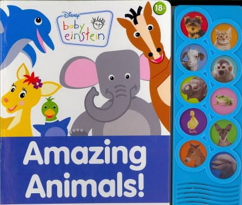 Baby Einstein: Amazing Animals! Sound Book: - (Hardcover) by Pi Kids - Walmart.com