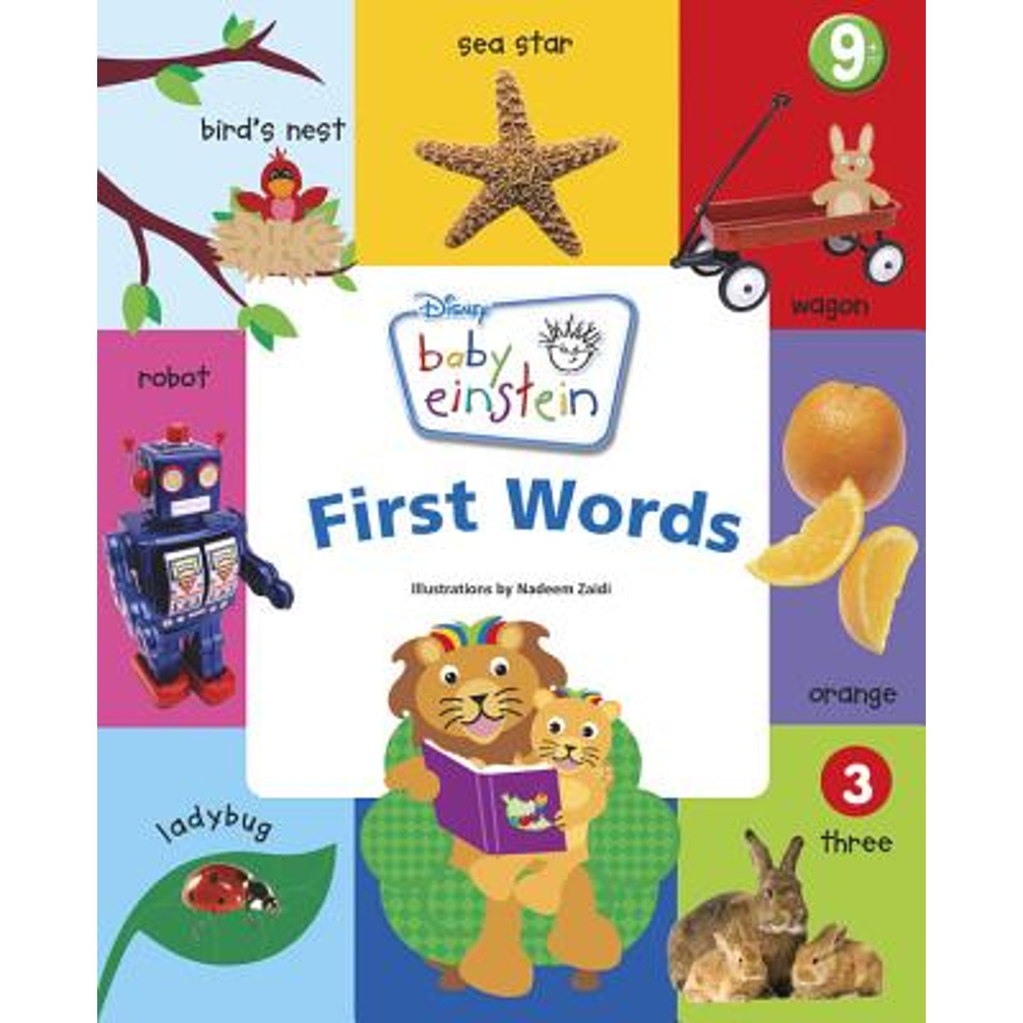 Pre-Owned Baby Einstein First Words (Hardcover) 1423113020 ...