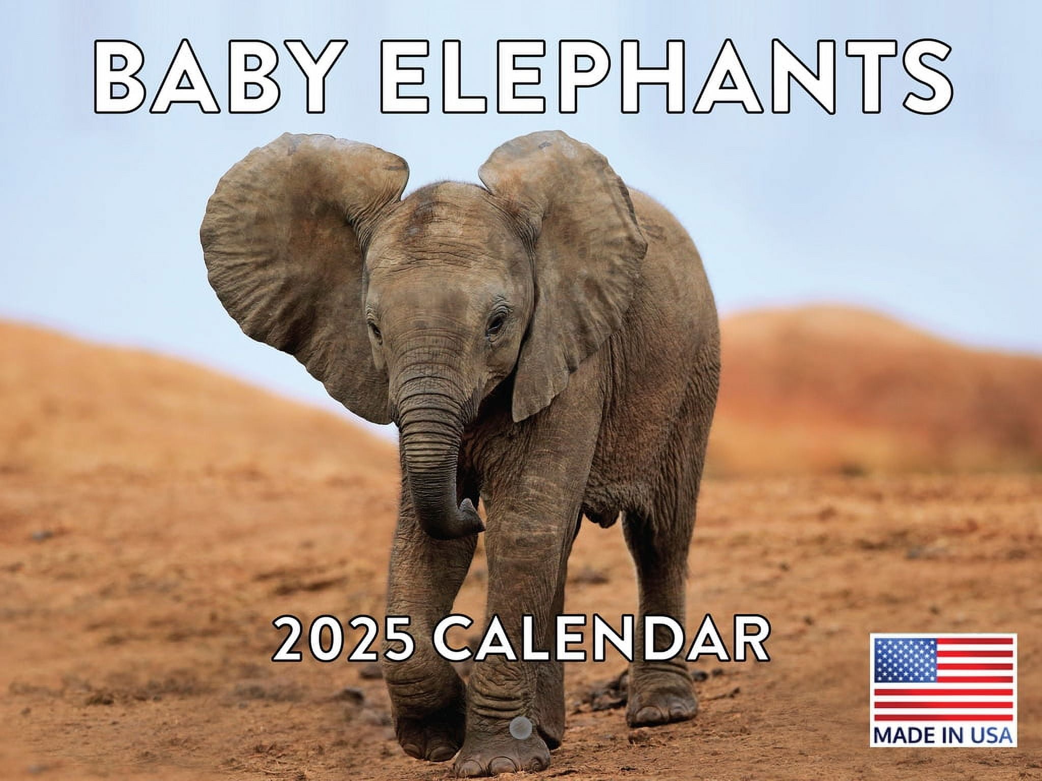 Baby Elephant Calendar 2025 Monthly Wall Calender 12 Month | American ...