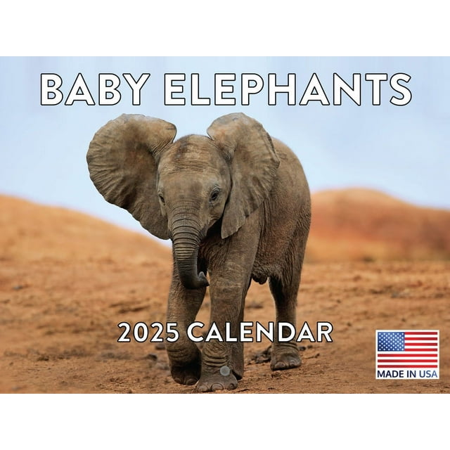 Baby Elephant Calendar 2025 Monthly Wall Calender 12 Month | American ...
