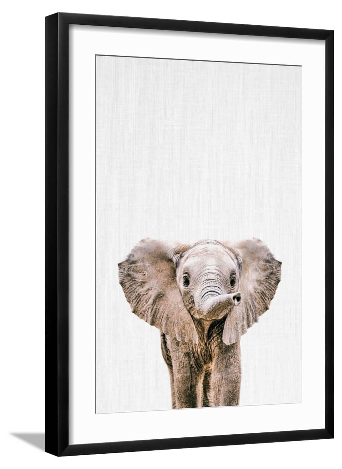 Baby Elephant Framed Art Print by Tai Prints, 16" x 24", Sold by Art ...