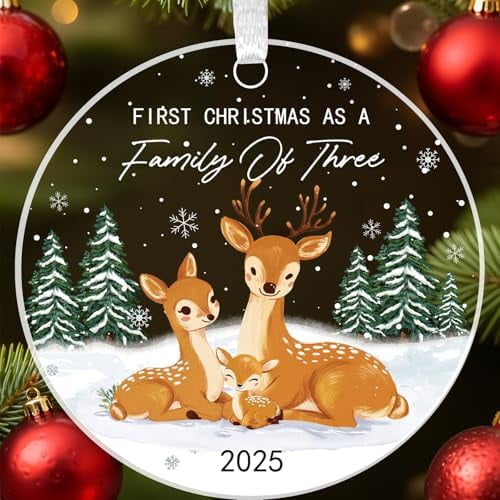 Baby First Christmas Ornament 2025 - New Mom and Dad Gifts Family ...