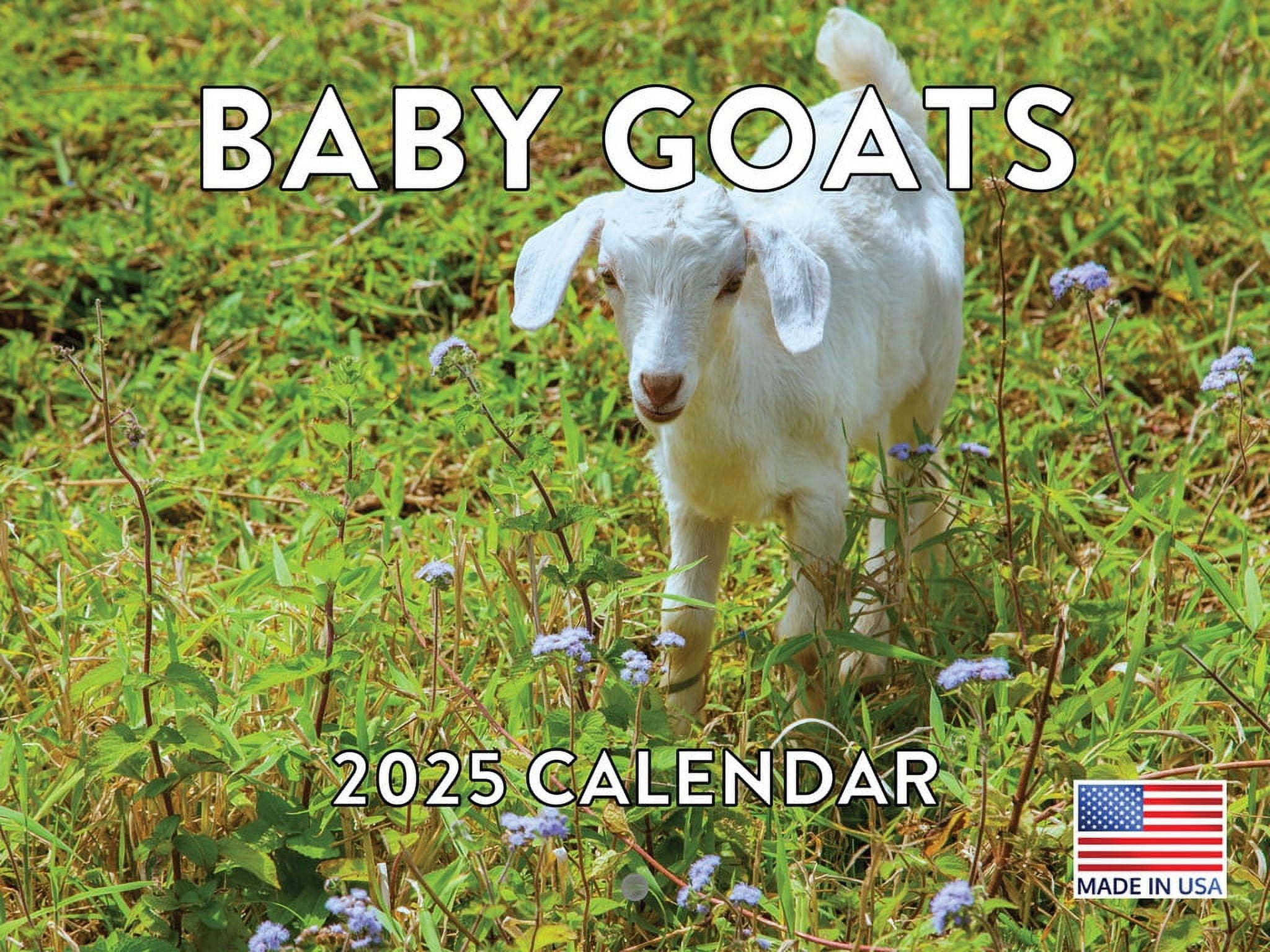 Baby Goat Calendar 2025 Monthly Wall Calender 12 Month | American Made ...