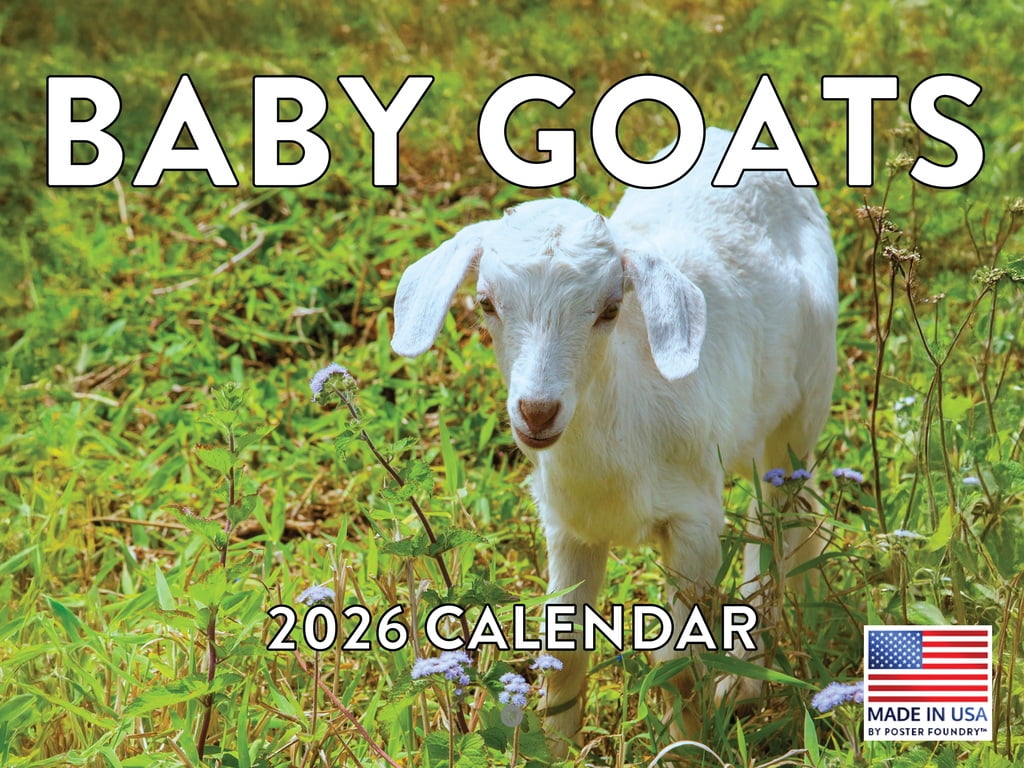 Baby Goat Calendar 2026 Monthly Wall Calender 12 Month | American Made ...
