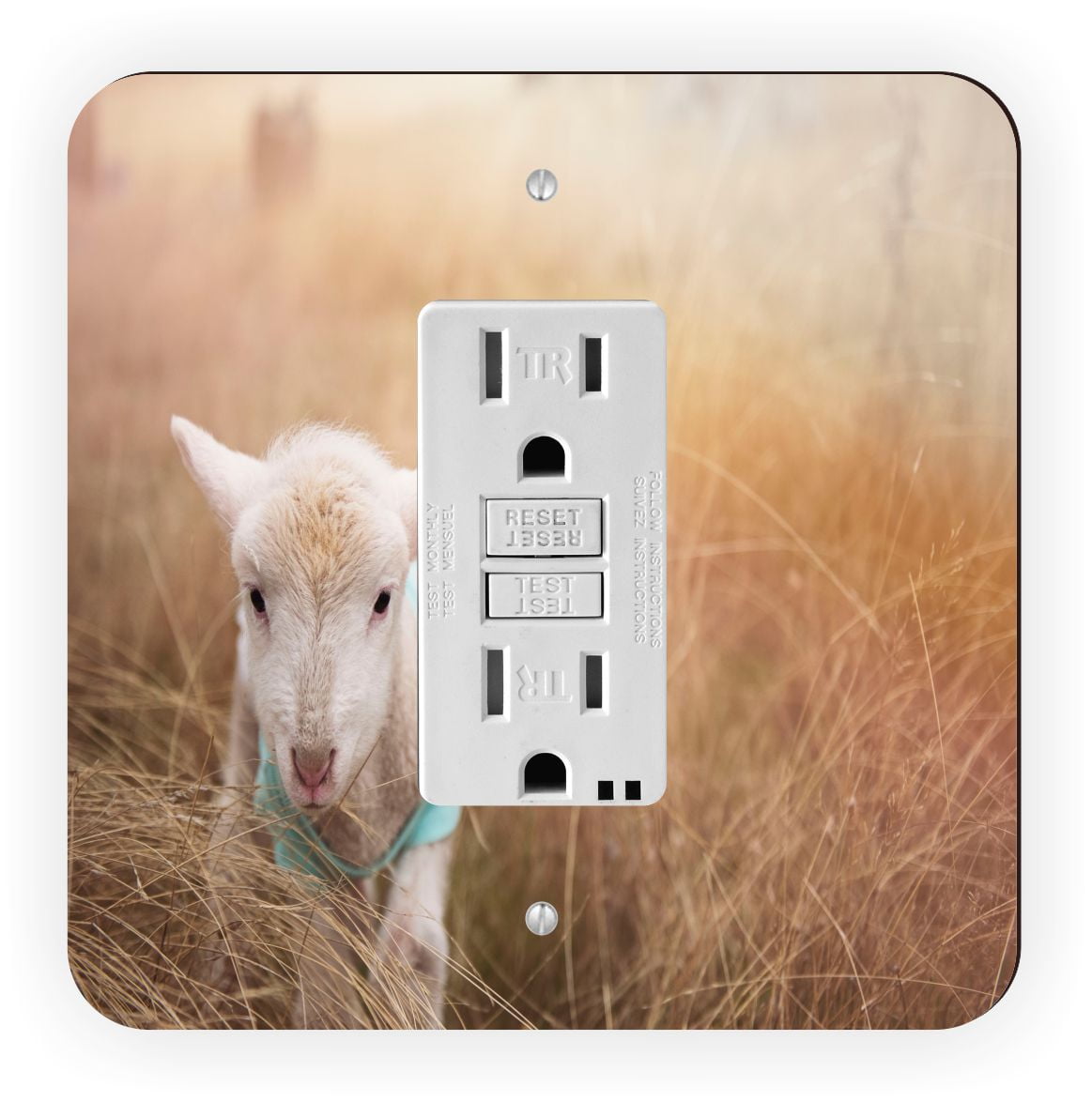 Baby Goat in Field Soft - GFI Switch Plate Cover - GFI Cover - Walmart.com