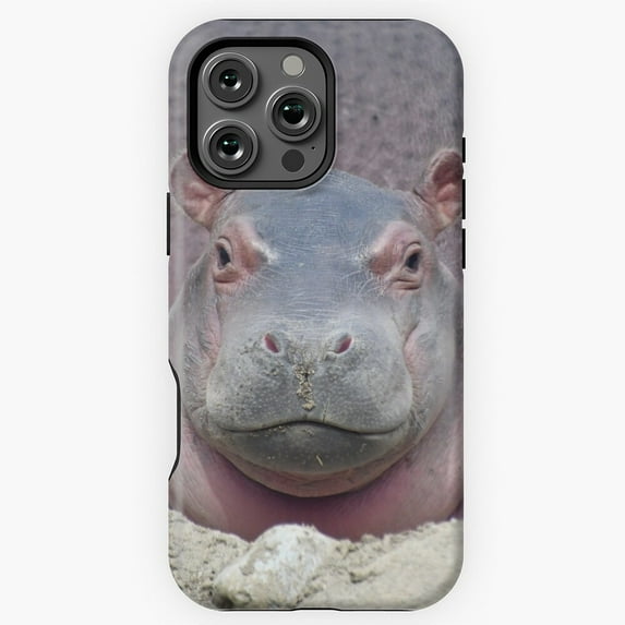 Baby Hippo Zoo Animal Artwork iPhone Case 17 16 15 14 13 12 11 Pro Max - Walmart.com