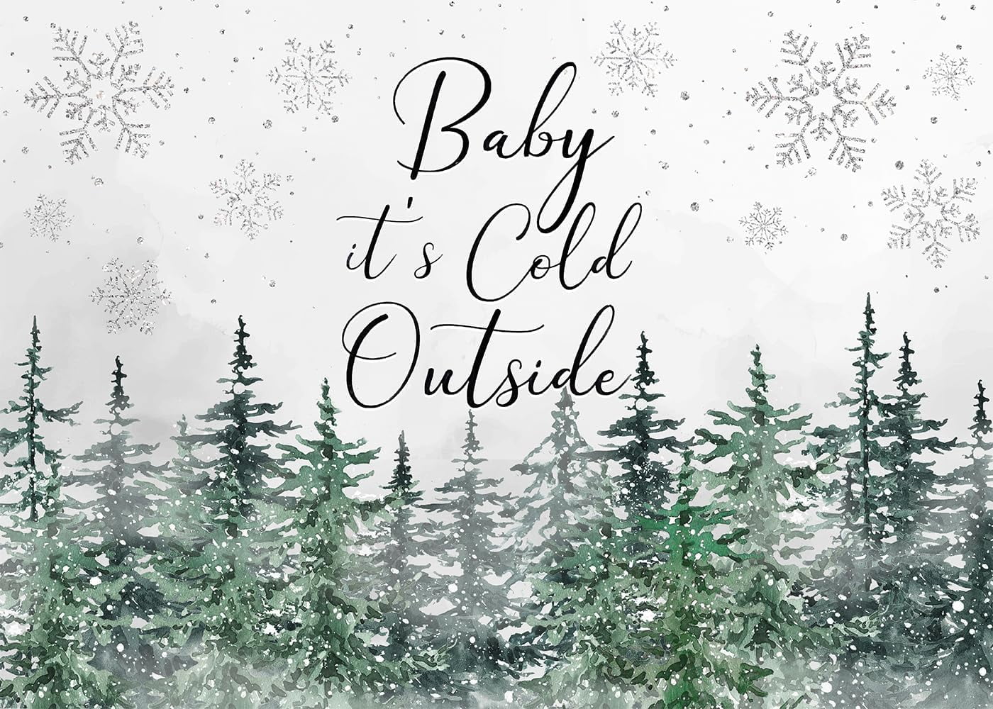 Baby It's Cold Outside Backdrop Winter Silver Snowflakes Photography ...