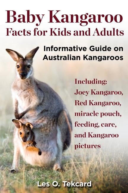 Baby Kangaroo Facts for Kids and Adults (Paperback) - Walmart.com