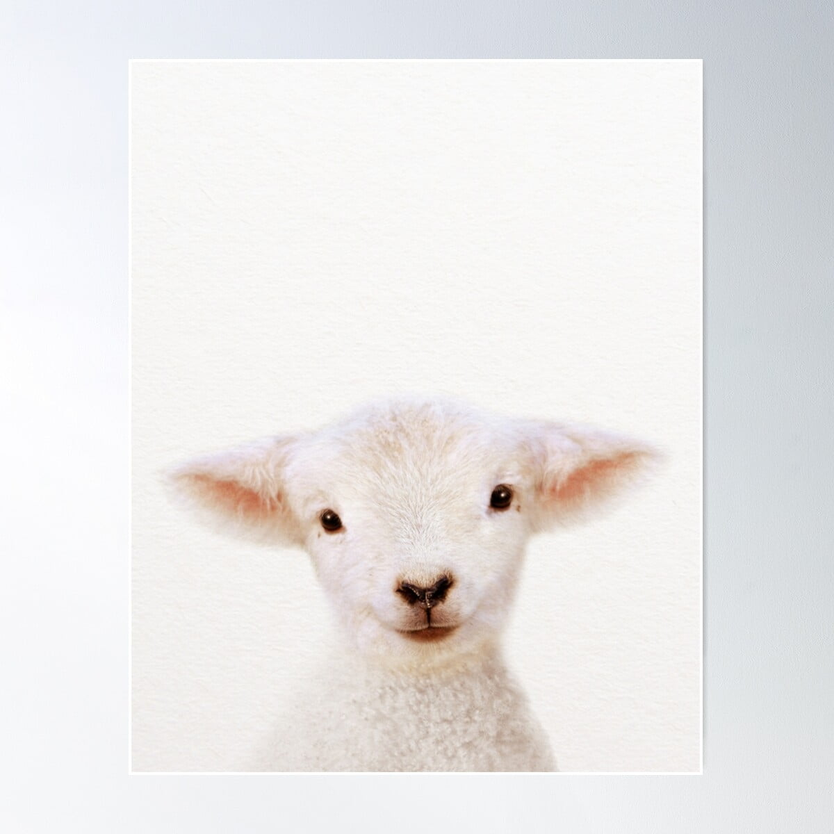 Baby Lamb, Baby Animals Art Print By Synplus Poster Wall Art, Modern ...