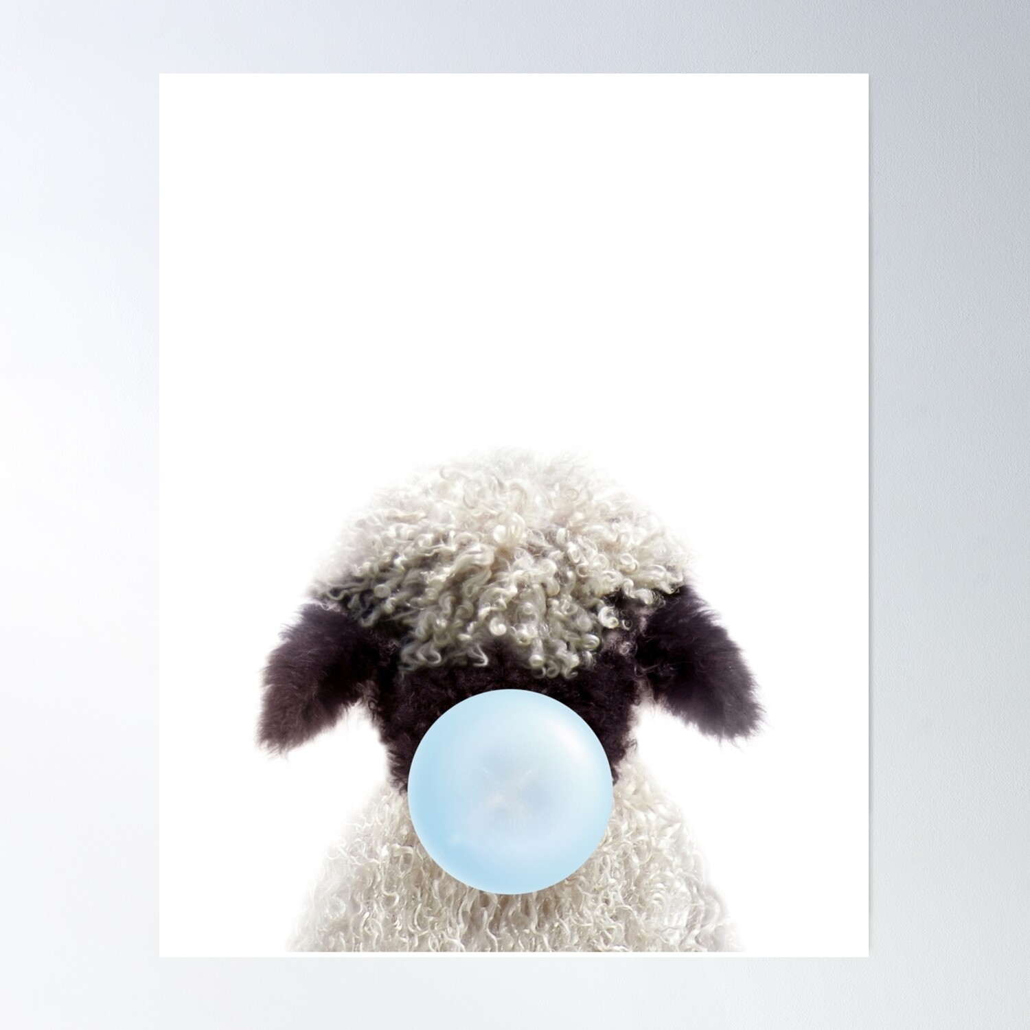 Baby Lamb Blowing Blue Bubble Gum, Baby Boy, Kids, Nursery, Baby ...