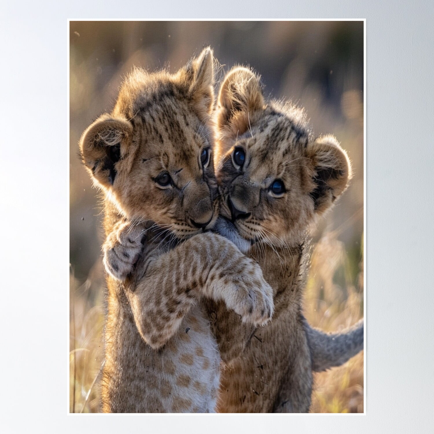 Baby Lion Cubs Hugging – Cute Safari Animal Wall Art Print Poster Wall ...