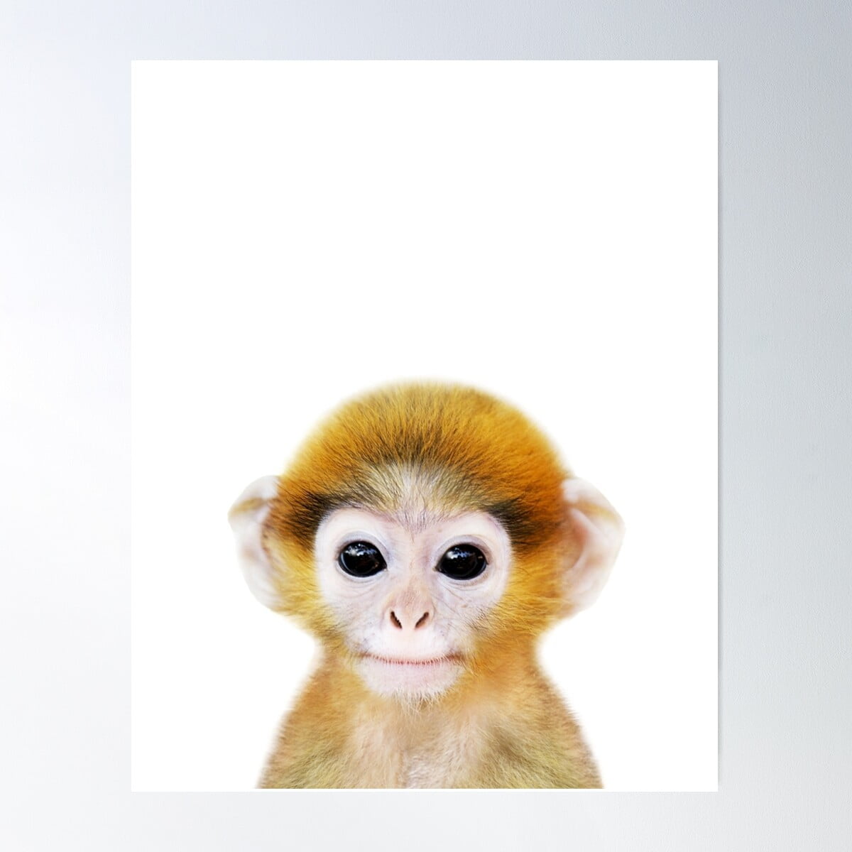 Baby Monkey Art Print By Zouzounio Art Poster Wall Art, Modern Wall ...