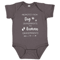 Baby Onesie Hub Promoted From Dog to Human Infant Shirt, Announcement ...