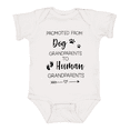 Baby Onesie Hub Promoted From Dog to Human Infant Shirt, Announcement ...