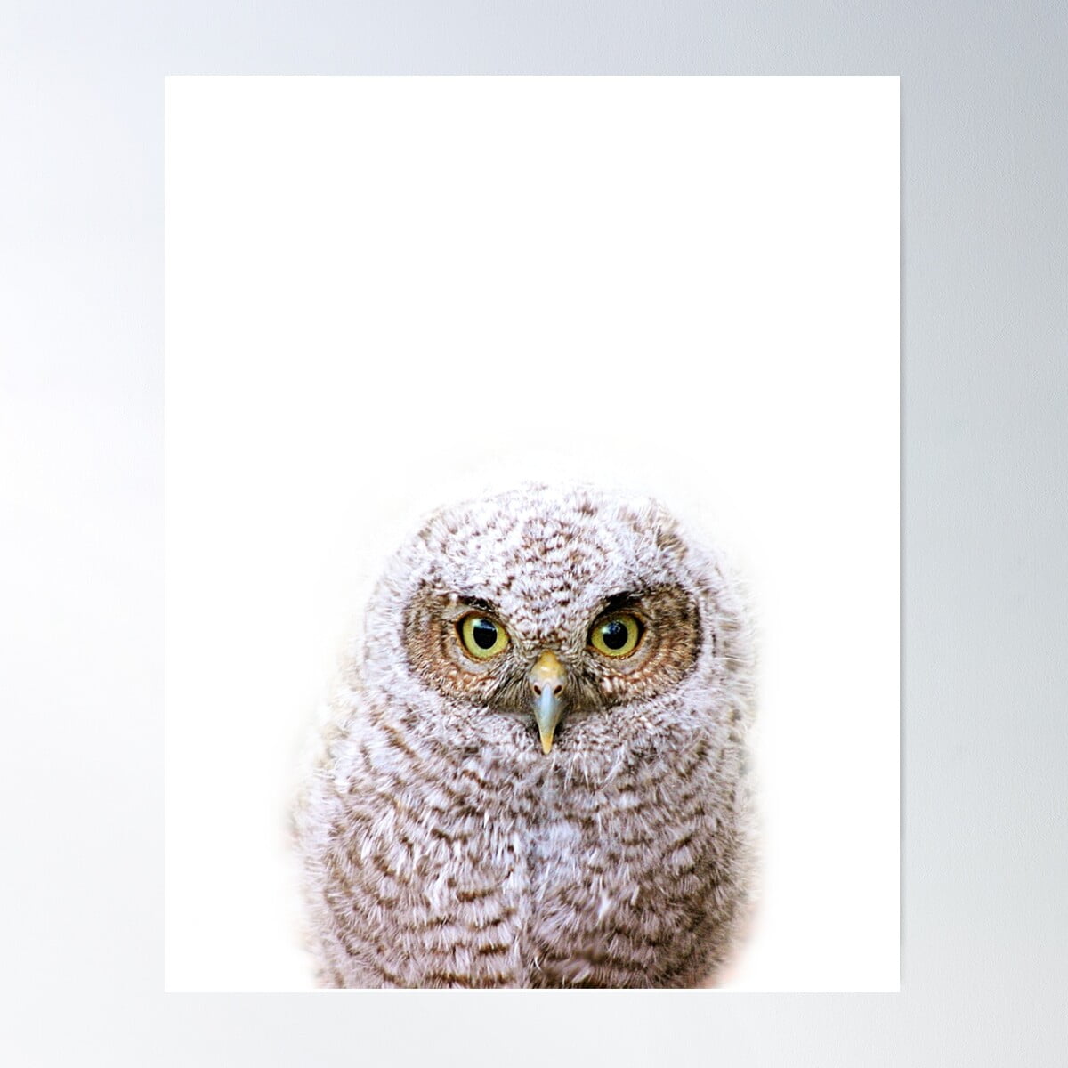 Baby Owl Art Print By Zouzounio Art Poster Wall Art, Modern Wall Decor ...