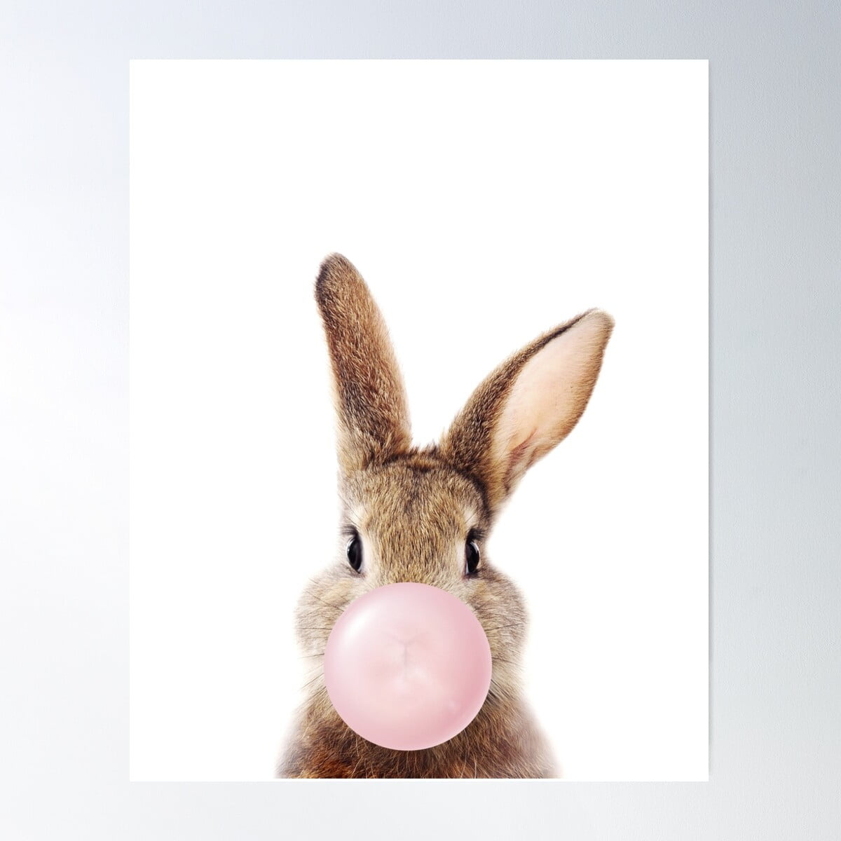 Baby Rabbit, Brown Bunny Blowing Pink Bubblegum, Baby Girl, Kids ...