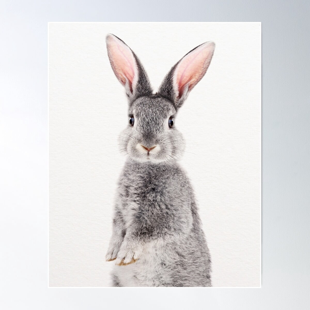 Baby Rabbit Standing Grey Bunny Baby Animals Art Print By Synplus ...