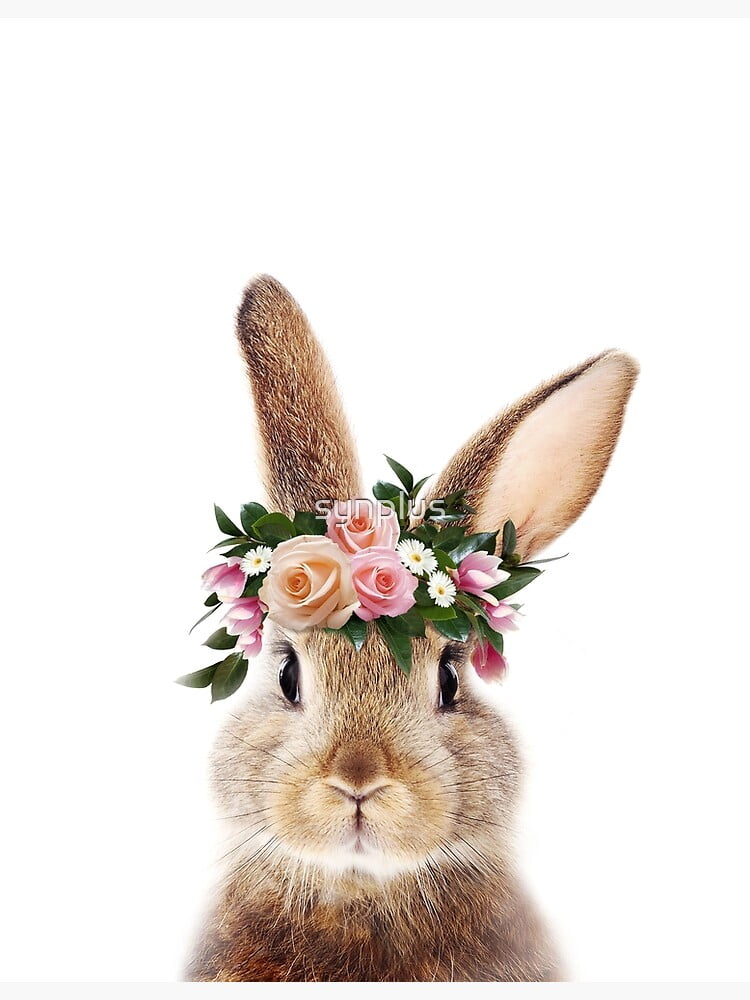 Baby Rabbit With Flower Crown, Baby Animals Art Print by Synplus ...