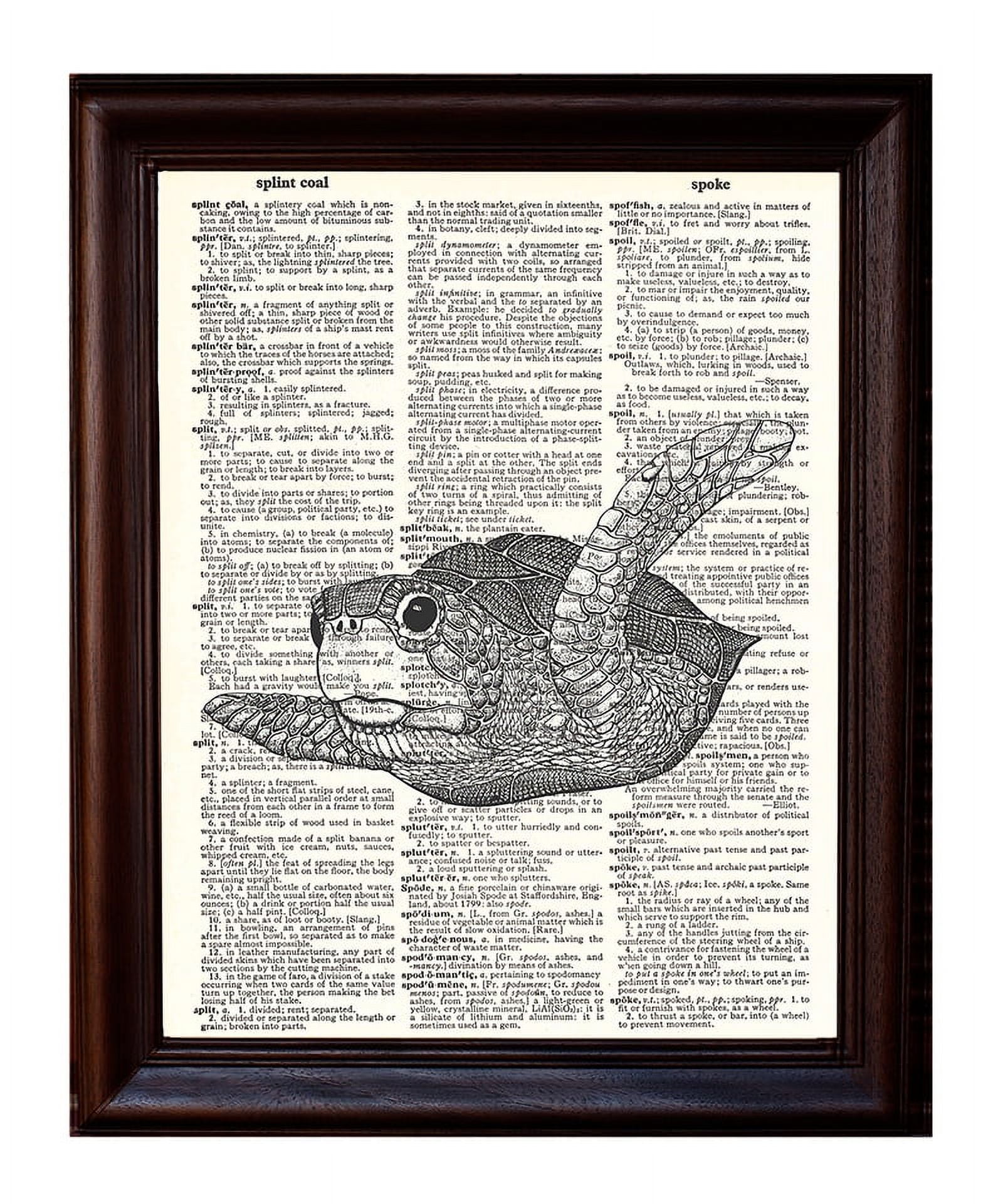 Baby Sea Turtle - Dictionary Art Print Printed On Authentic Vintage ...