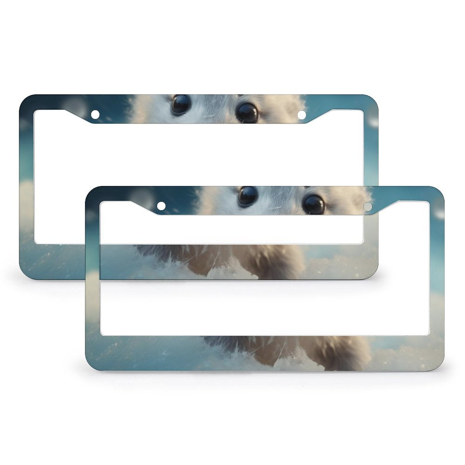 Baby Seal License Plate Cover 2 PCS Sea Animal Lover Gifts License ...